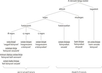 A finn mint rokon nyelv - Igei paradigmák - MeRSZ