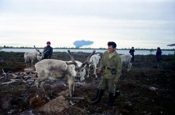 Hanti hadak, manysi mesék - 15.2. Az erdei szálláshelyeken élő obi ...