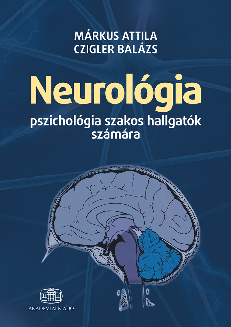Neurológia - A központi idegrendszer vérellátása - MeRSZ