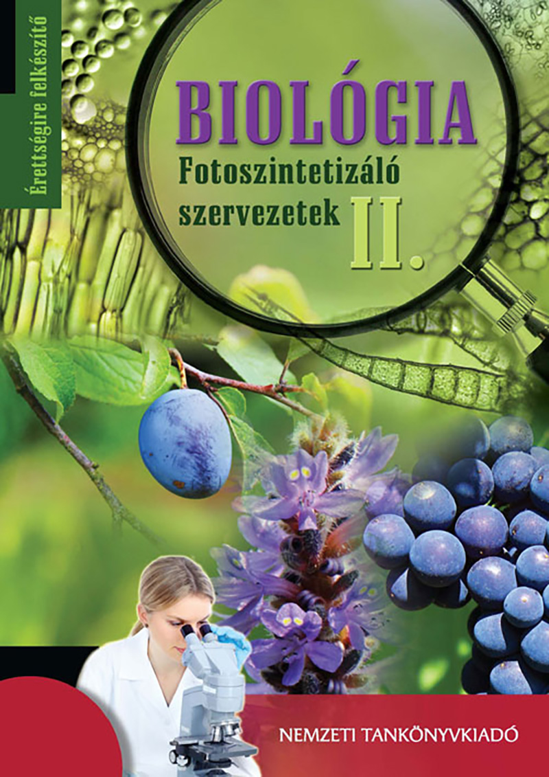 Biológia érettségire felkészítő - Fotoszintetizáló szervezetek II ...